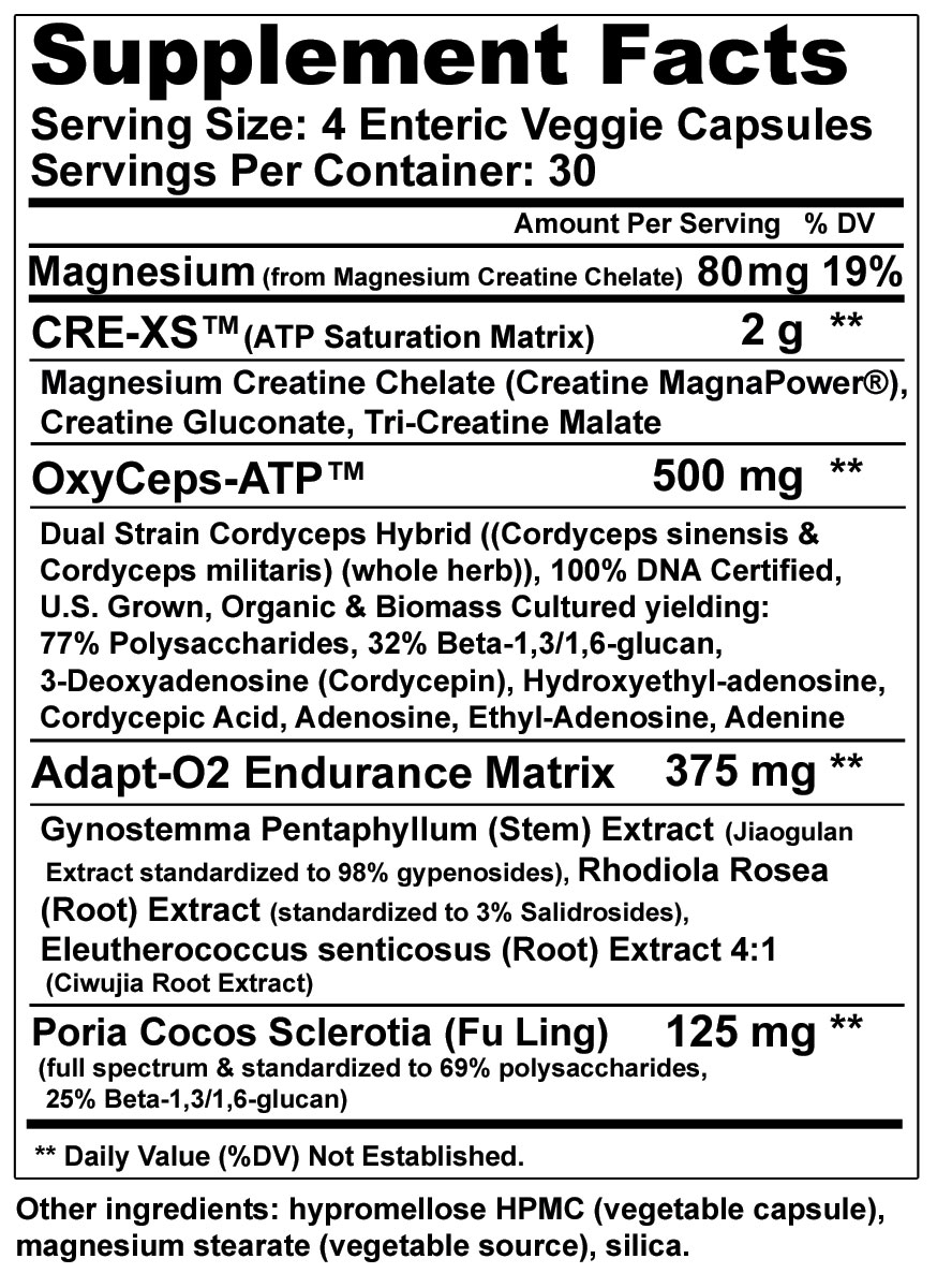 Millennium Sport Technologies :: CRE-02